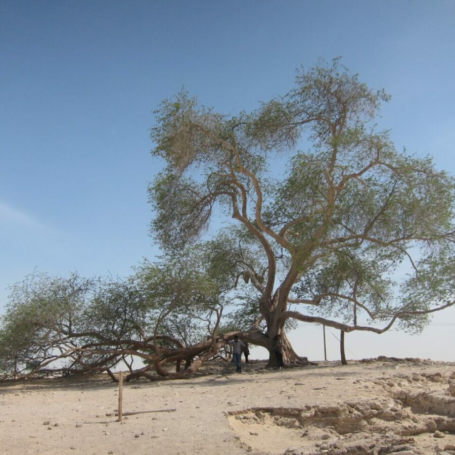 Wherevart - Discover Art, Museums, Galleries, Workshops, Art fairs online